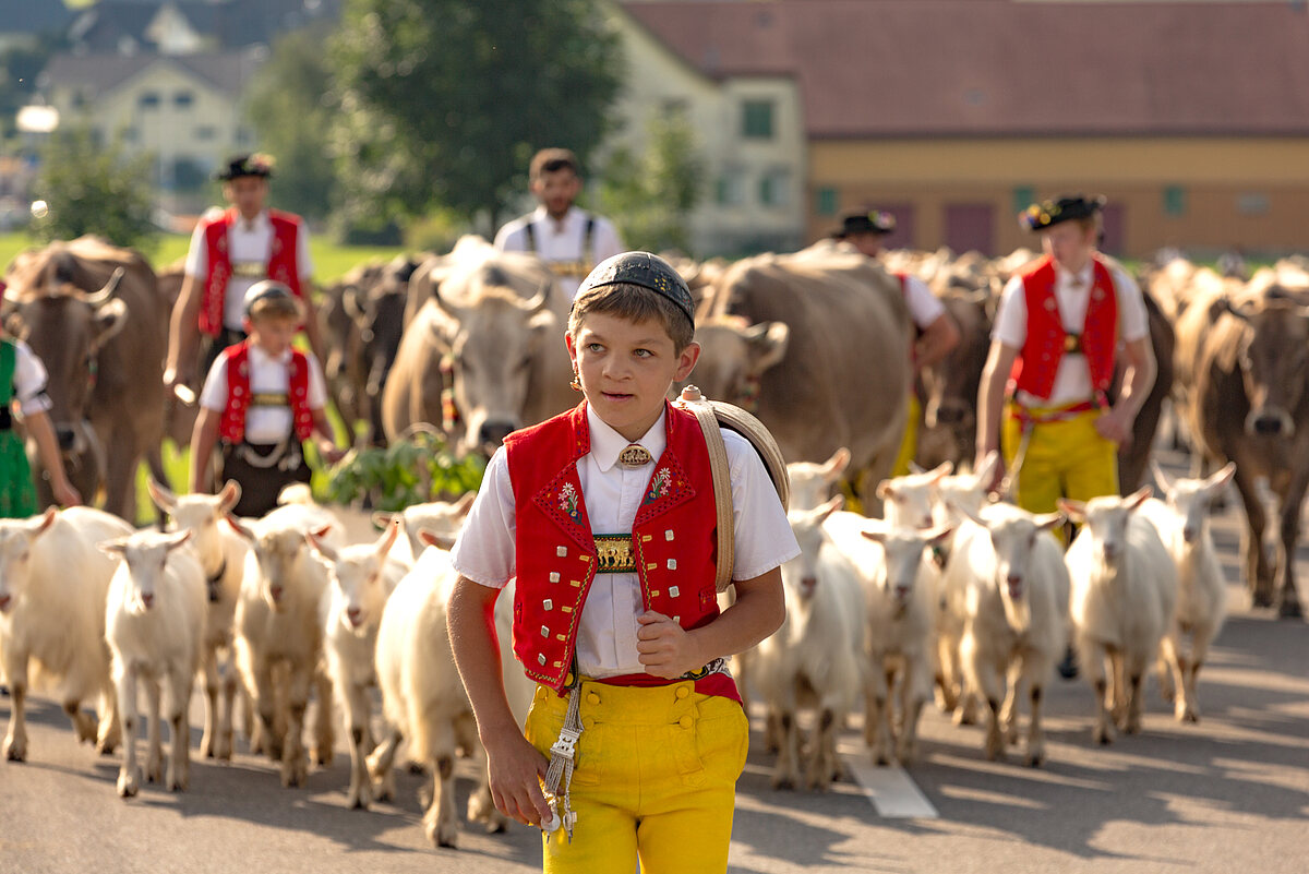 Appenzell Innerrhoden abseits der Klischees : Neuigkeiten : Aktuelles ...