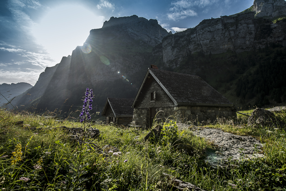 Low-Res-Download : Bilder : Medien : Appenzellerland Tourismus